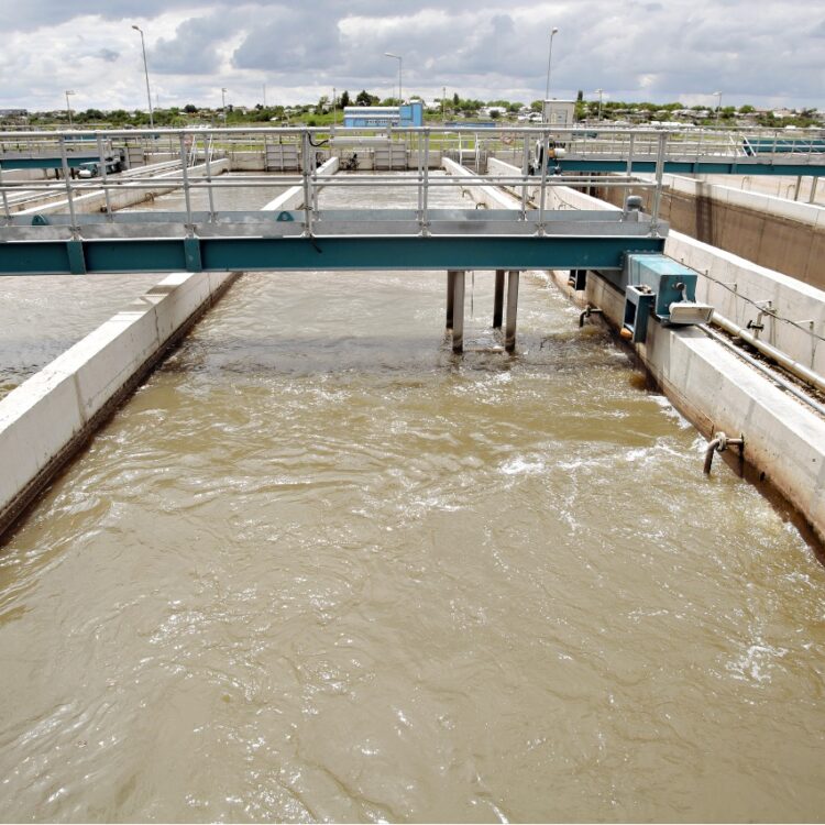 DECANTING BRIDGE FOR RECTANGULAR ENCLOSURE – IDM PIRINEO