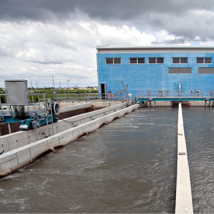 DECANTING BRIDGE FOR RECTANGULAR ENCLOSURE – IDM PIRINEO